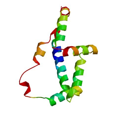 IFN-gamma, Rat - smartscience