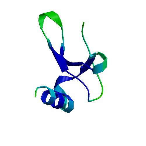 CCL20, Human, 5 ug - smartscience