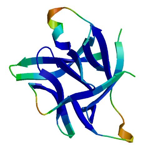 IL1RN (IL-1RA), Equine, 5 ug - smartscience
