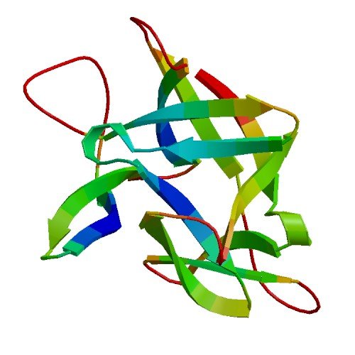 IL36G (IL-36 gamma), Human (169 a.a.), 10 ug - smartscience