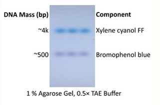 6X Blue Loading Dye - smartscience