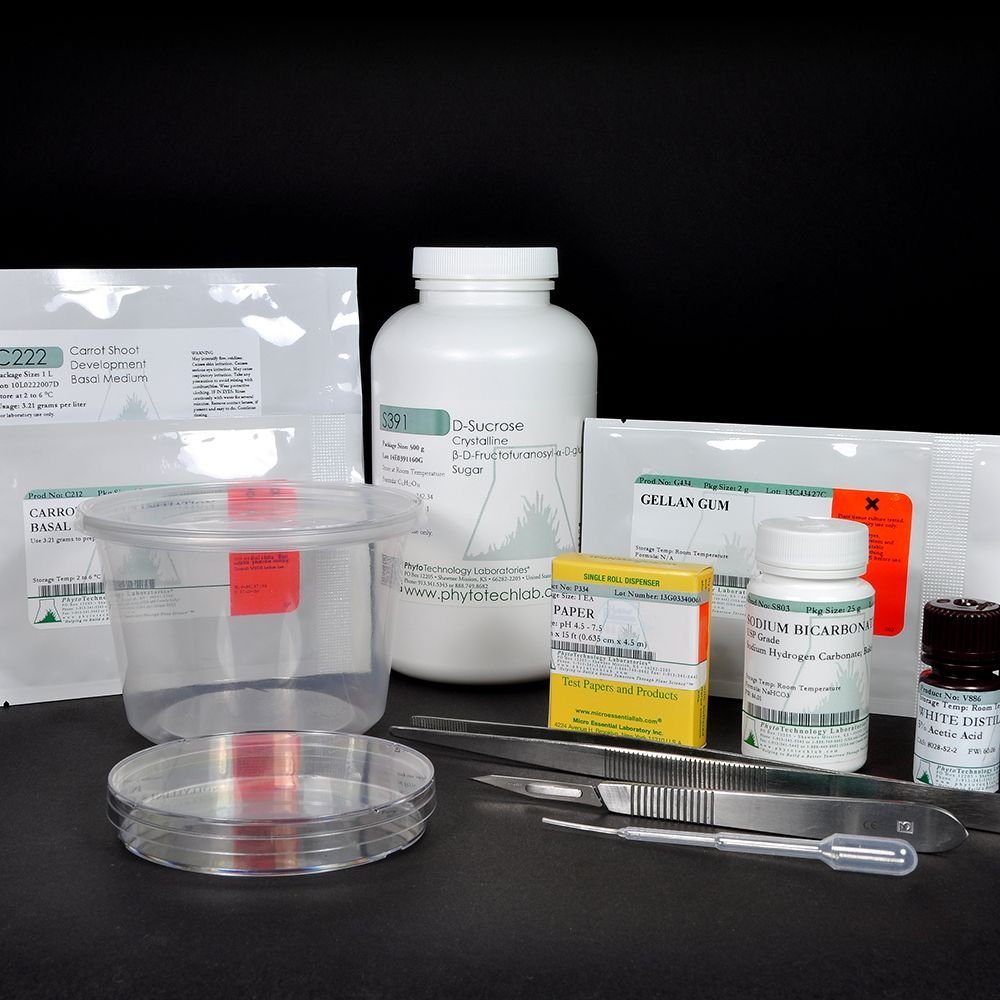 Carrot Tissue Culture Kit, 1 Each - smartscience