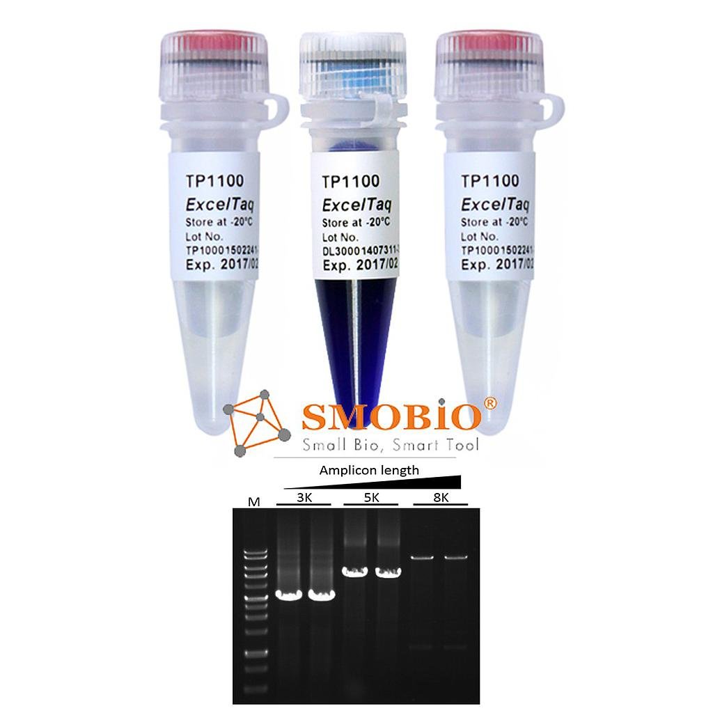 ExcelTaq™ 5X PCR Master Mix, 200 RXN (Buy 10 get 2 free) - smartscience