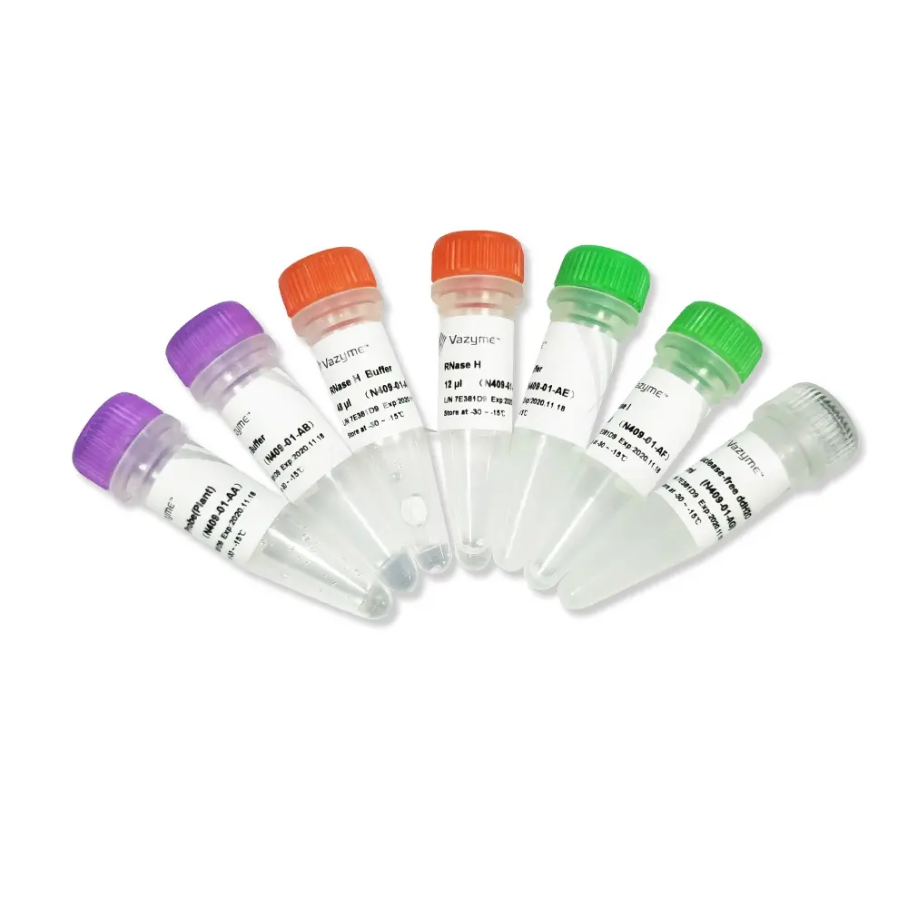 Ribo-off rRNA Depletion Kit (Plant) N409 - smartscience