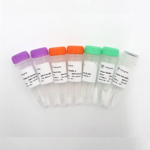 Ribo-off rRNA Depletion Kit V2 (Bacteria) N417 - smartscience