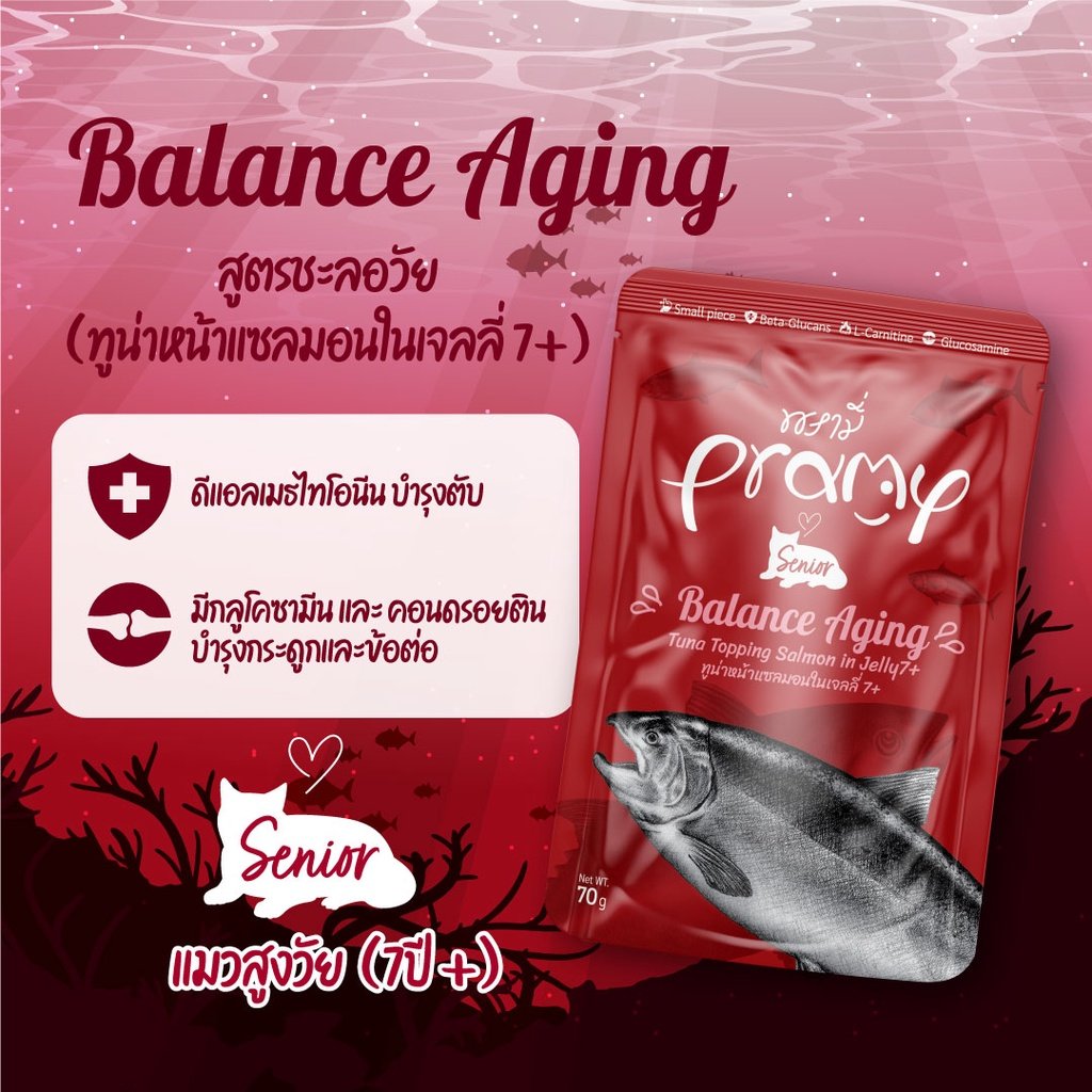 Pramy อาหารเปียกแมว เกรดซุปเปอร์พรีเมี่ยม 9 รสชาติ (70g.x12ซอง) - petclub