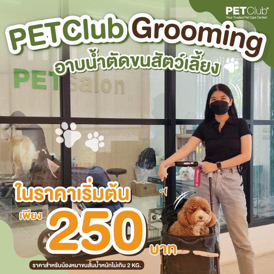 PETClub Grooming อาบน้ำตัดขนราคาเริ่มต้น 250 บาท! - petclub
