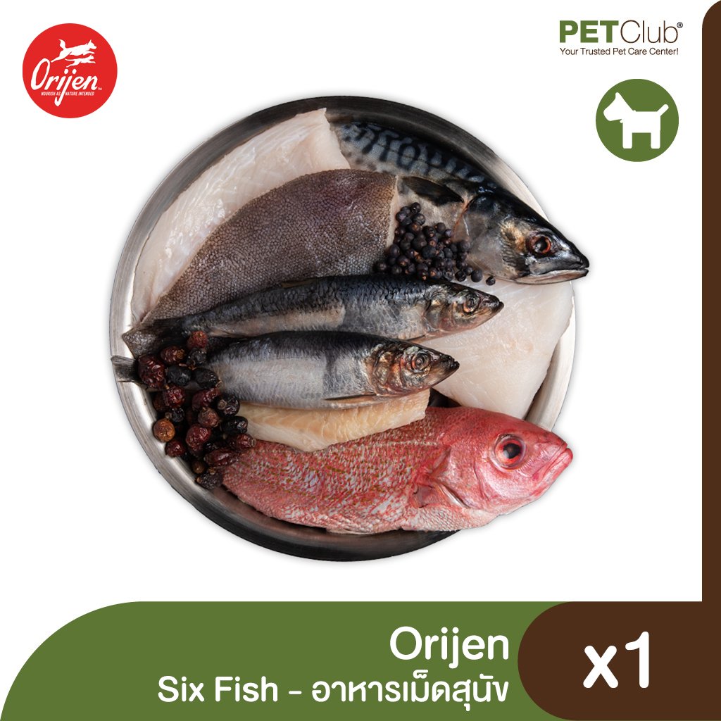 Orijen Six Fish Dog - petclub