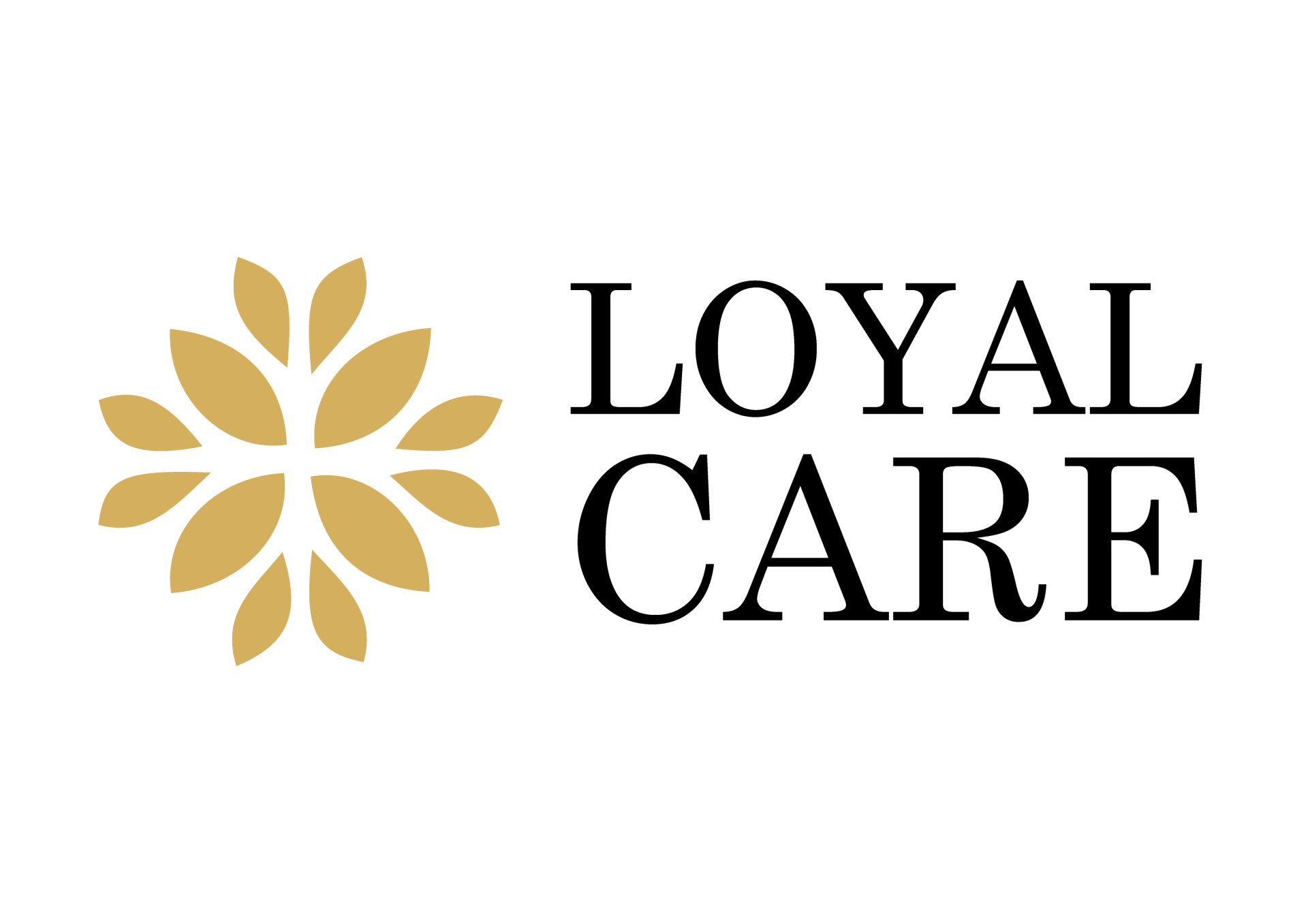 ฟูกสำหรับผู้สูงอายุ - theloyalcare