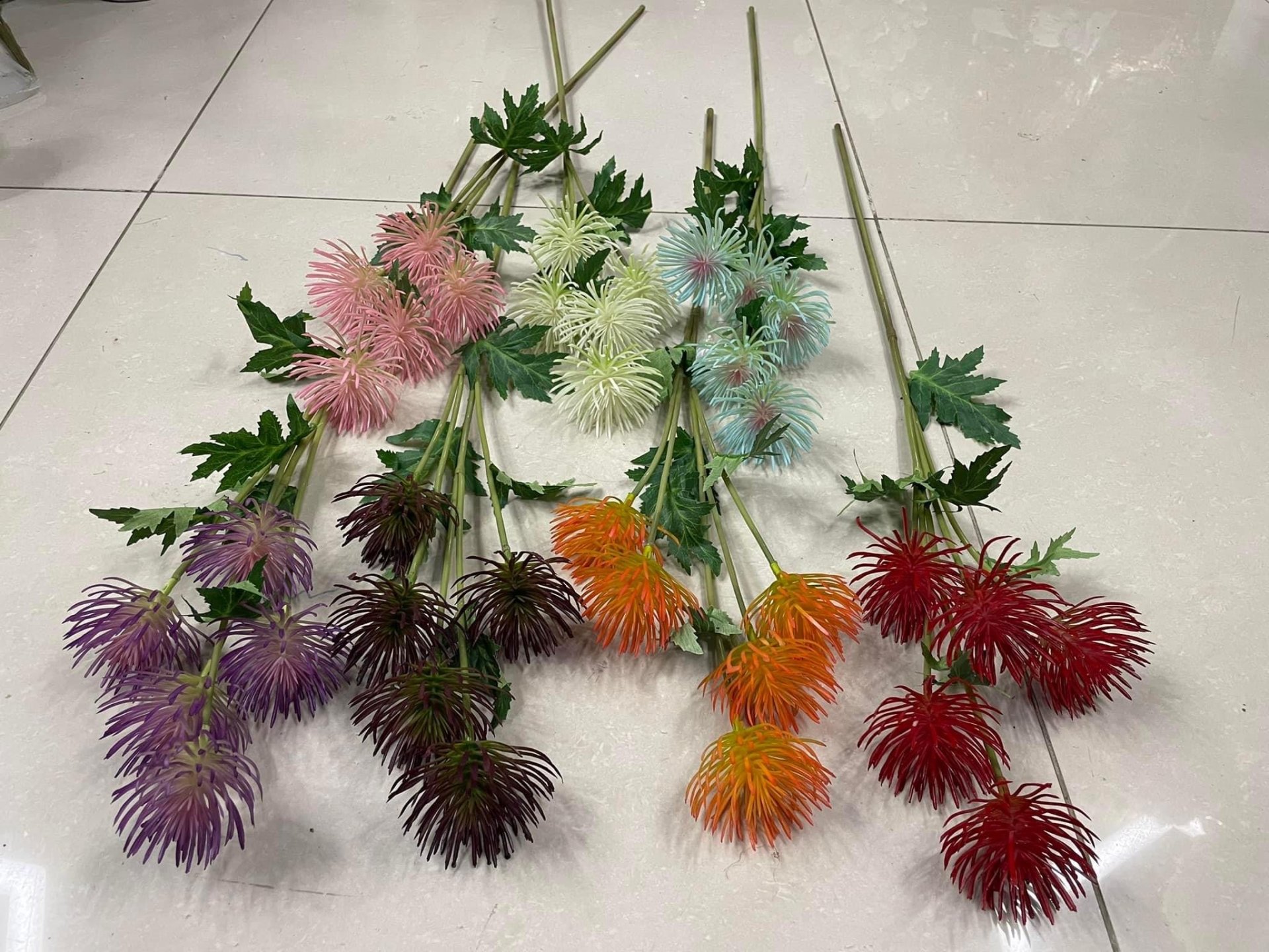 Flower Sea Urchin - flowergallery