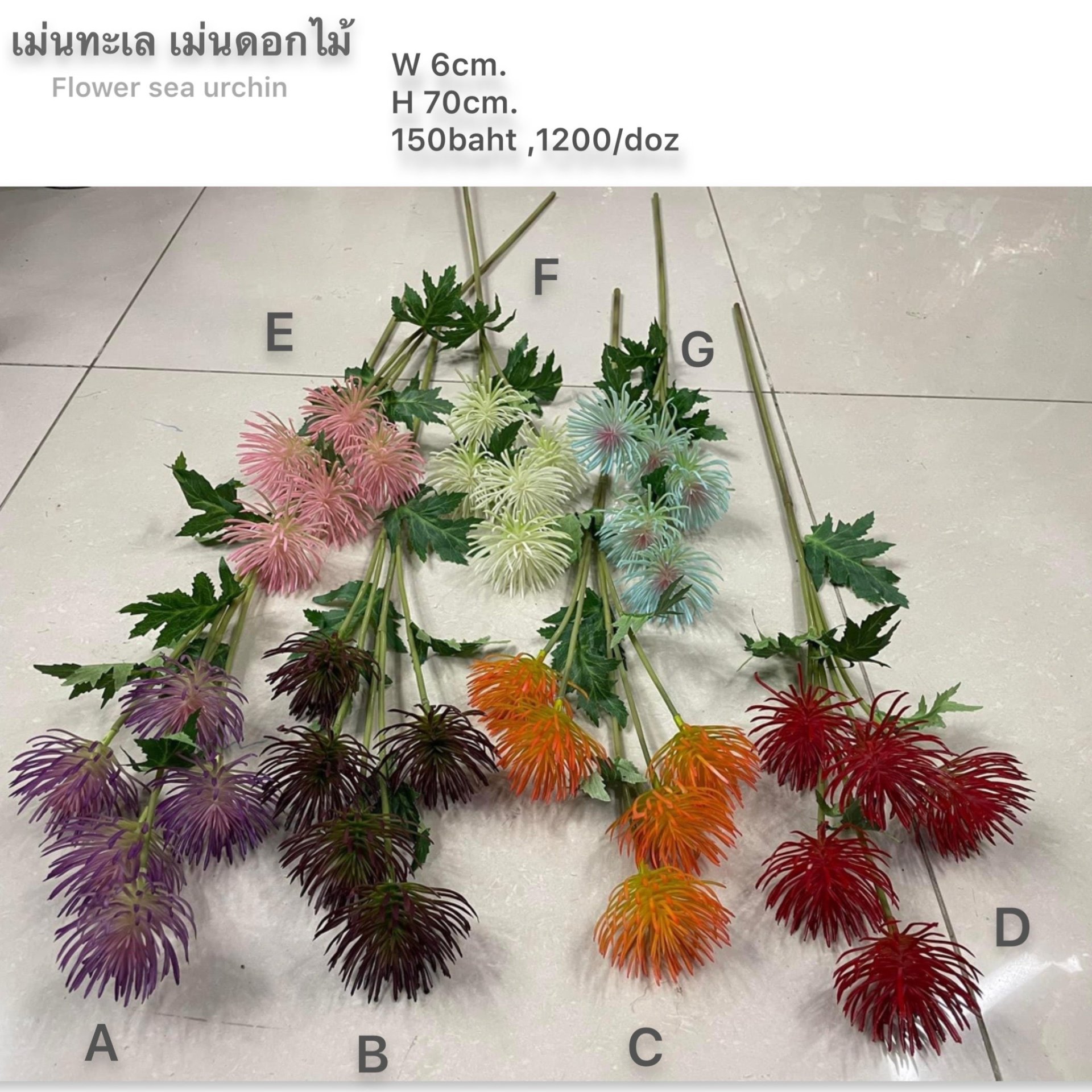 Flower Sea Urchin - flowergallery