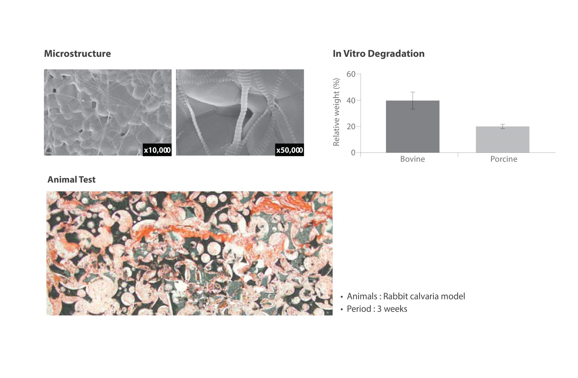 Osteon 3 Collagen - dentiumthailand