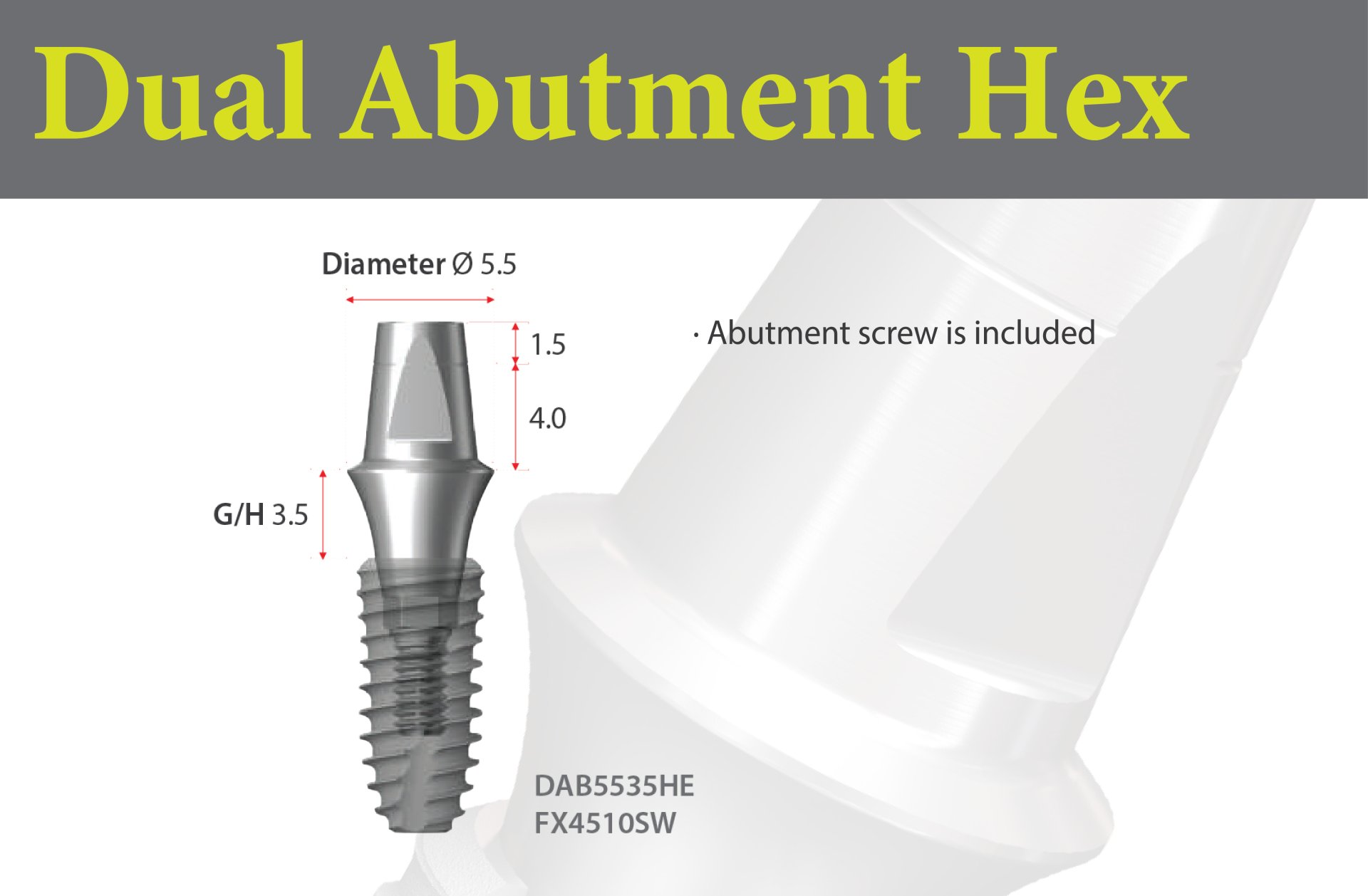 Dual Abutment Hex - dentiumthailand