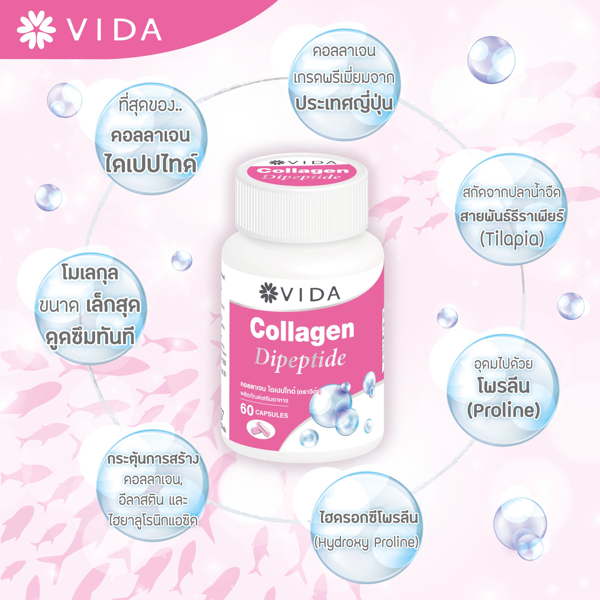 Vida Collagen Dipeptide 60 capsules - glutamaxonline