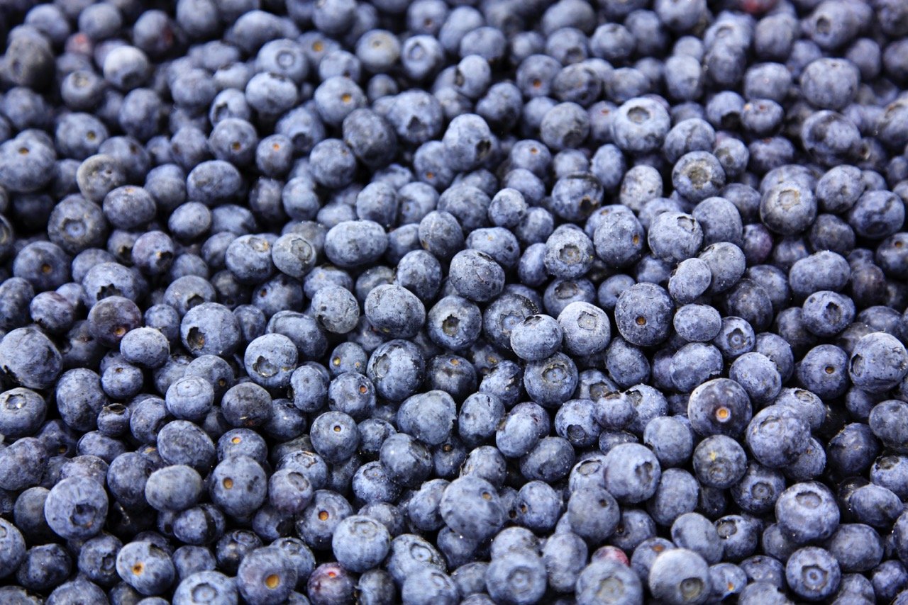 Frozen Blueberry 1 Kg - bakeryland