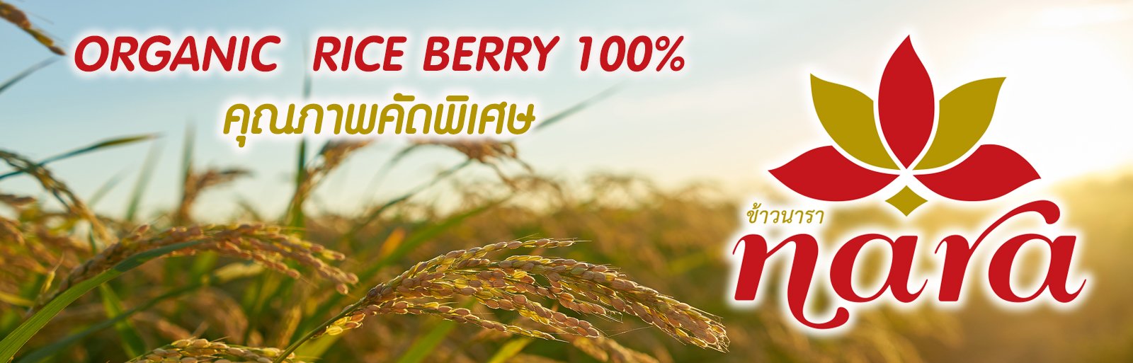 NaraRice ข้าวหอมมะลิใหม่ต้นฤดู ข้าวหอมเนียนนุ่ม