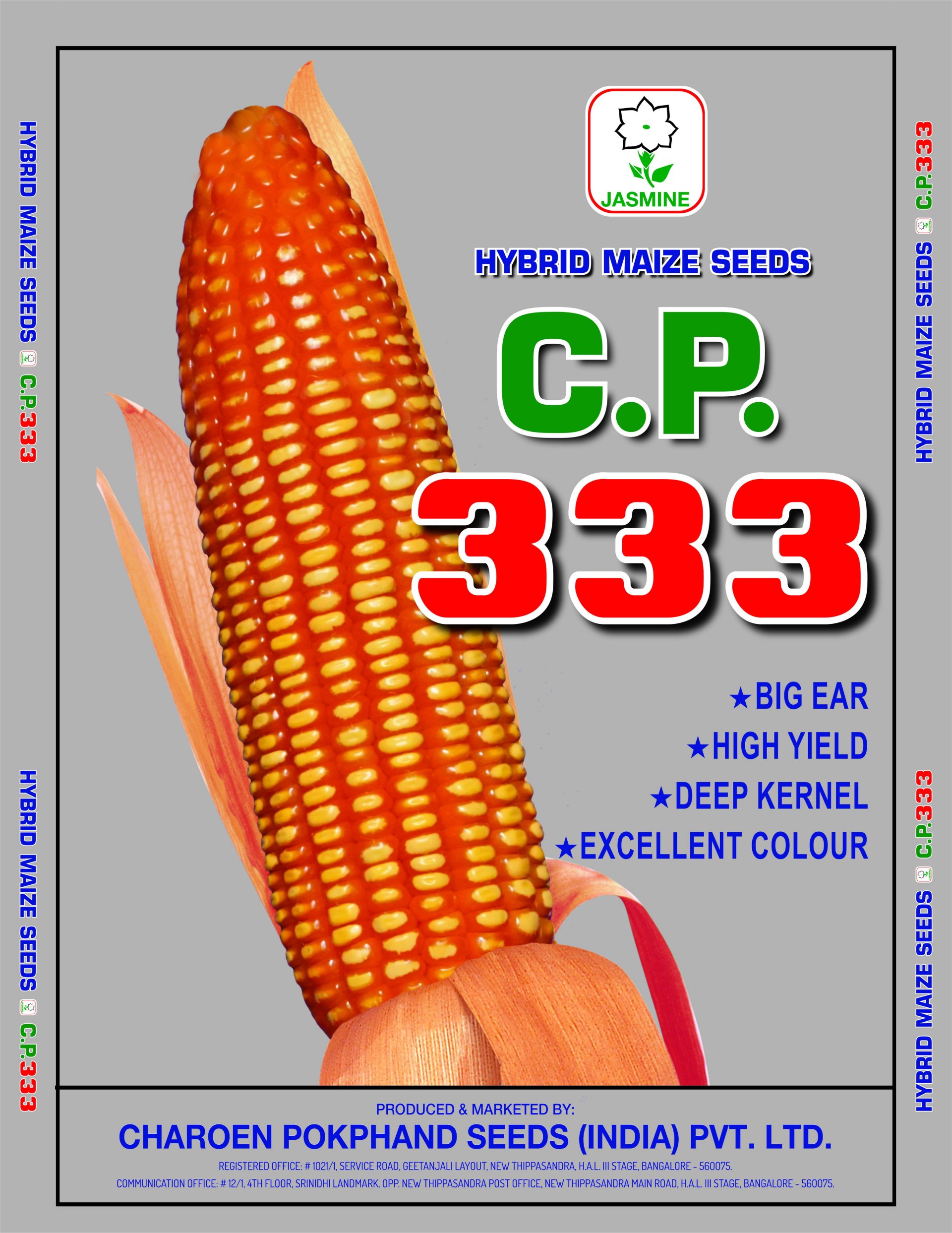 Hybrid Maize C.P. 333 - cpseeds-india