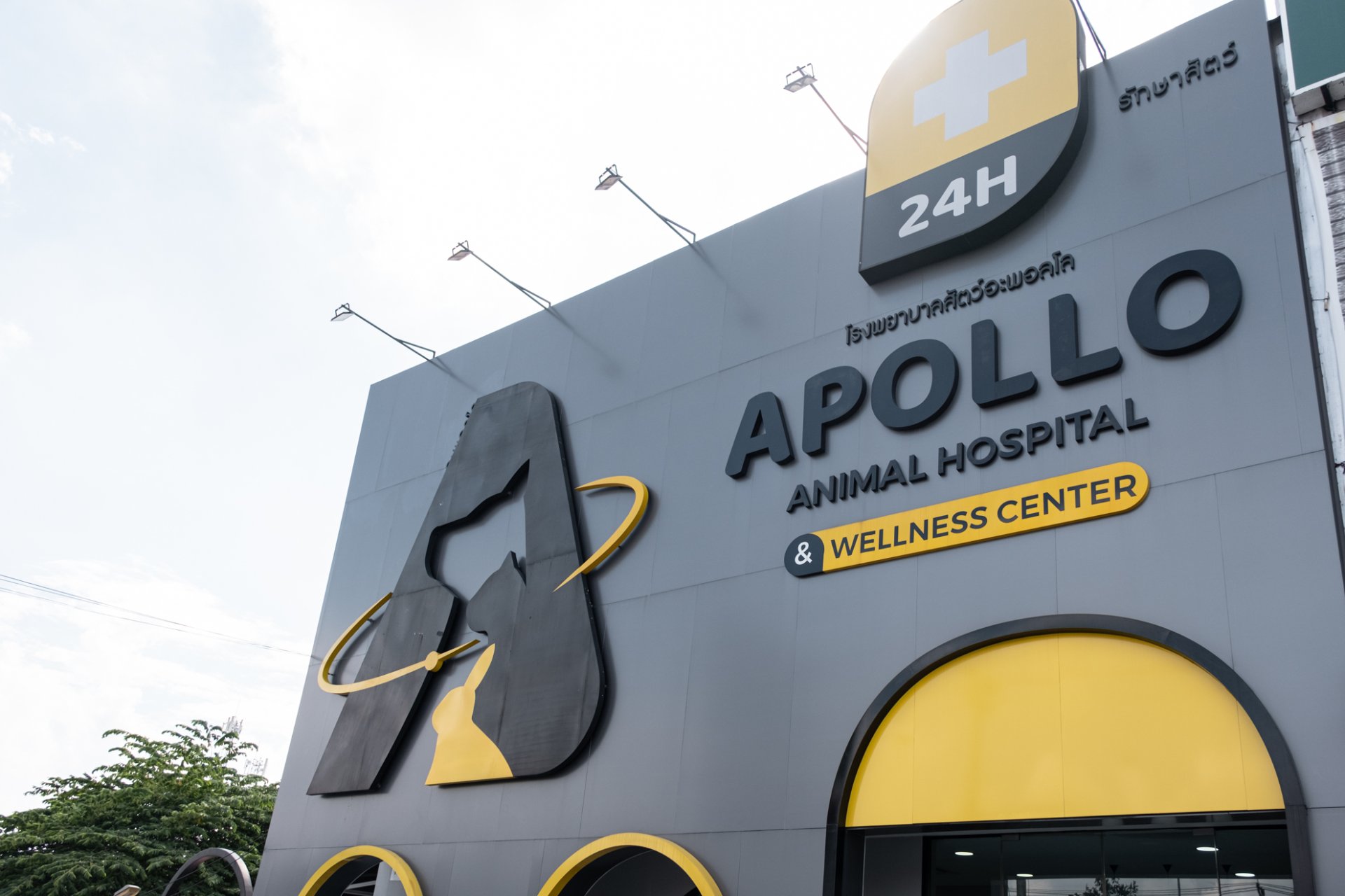 ติดต่อเรา - โรงพยาบาลสัตว์อะพอลโล Apollo Animal Hospital