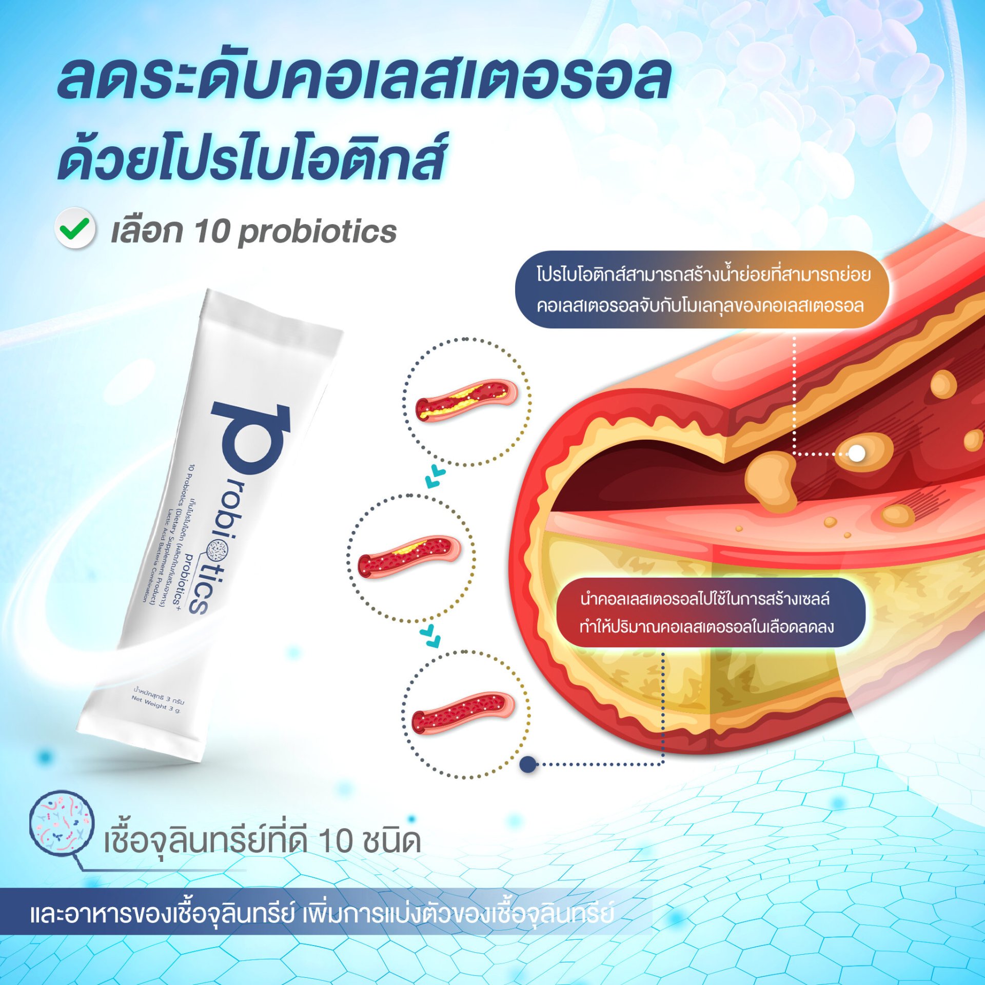 ceofactorythailand - ceofactorythailand