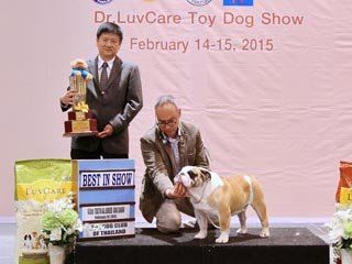 Central Toy Dog Championship Dog Show 1/2015_AB1 - thailanddogshow