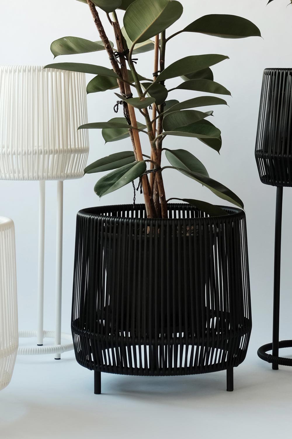 SPUTNIK Black - gardenatlas