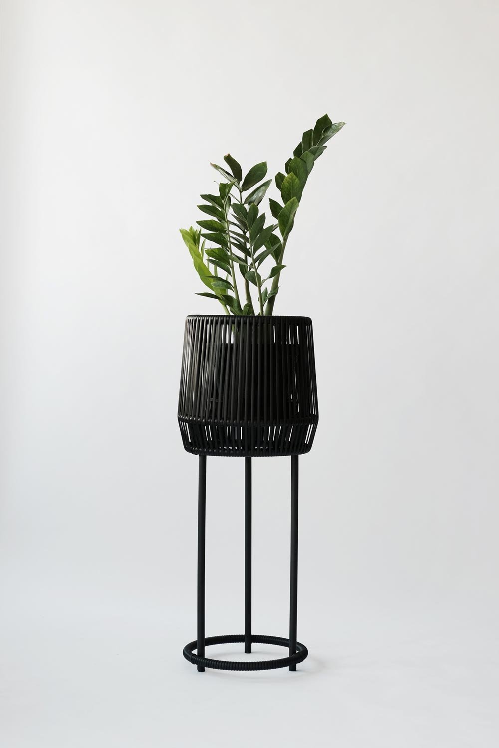 SPUTNIK Black - gardenatlas