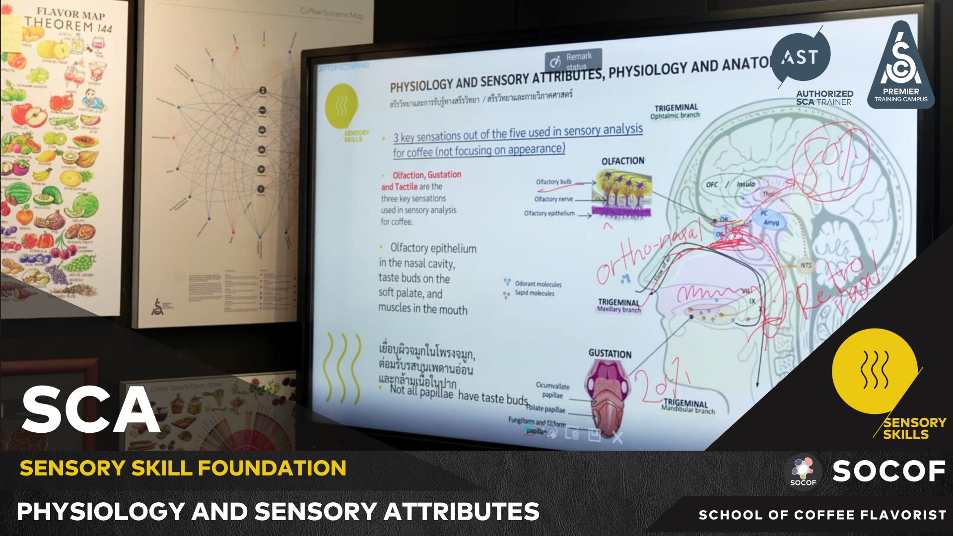 SCA Sensory Skills - ministryofroasters