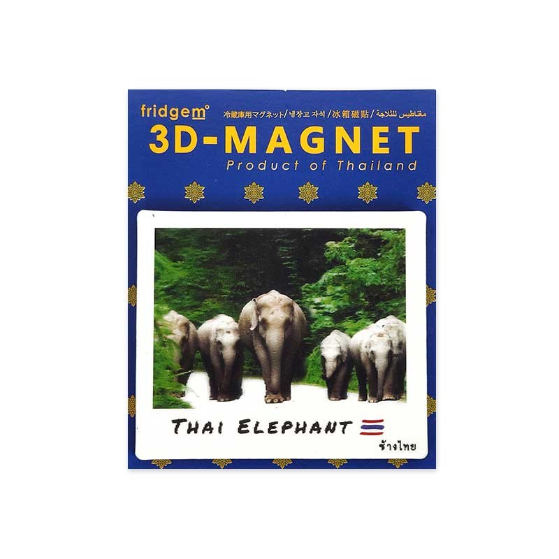 3D Magnet | Muse Shop by Museum Siam - museshop