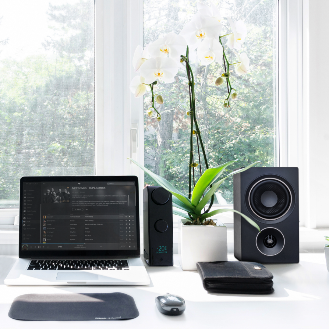 NAD D3045 Hybrid Digital DAC Amplifier - conice