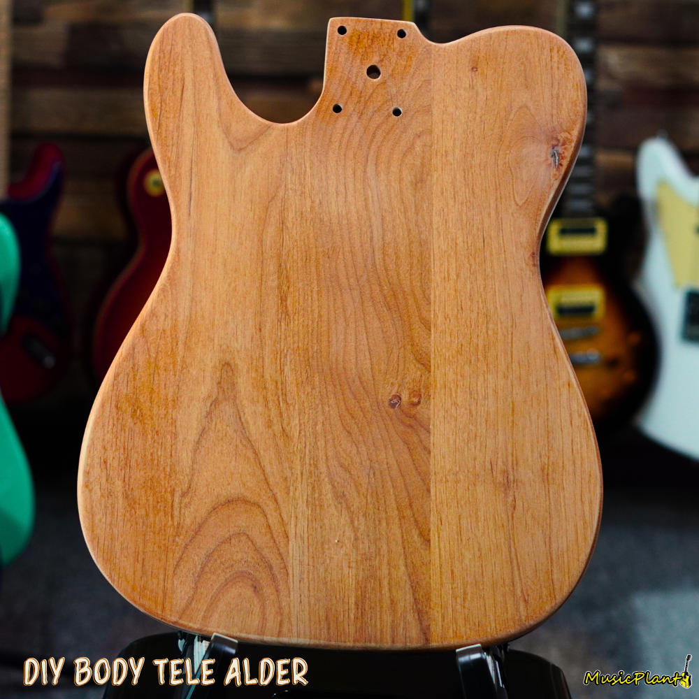 DIY Guitar บอดี้ทรง Telecaster (American Alder) - musicplant