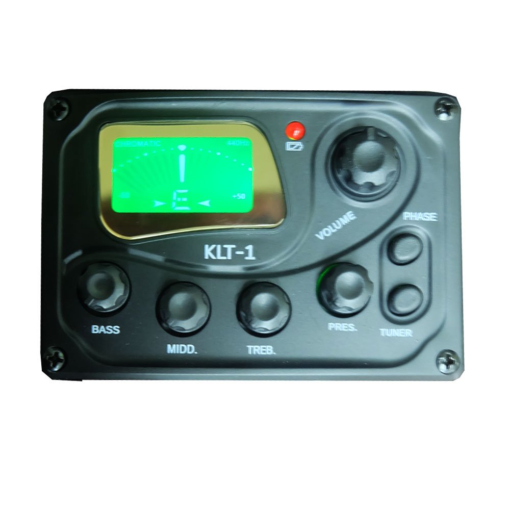 Matrixss: MES-2D, Acoustic Electric Guitar - musicplant