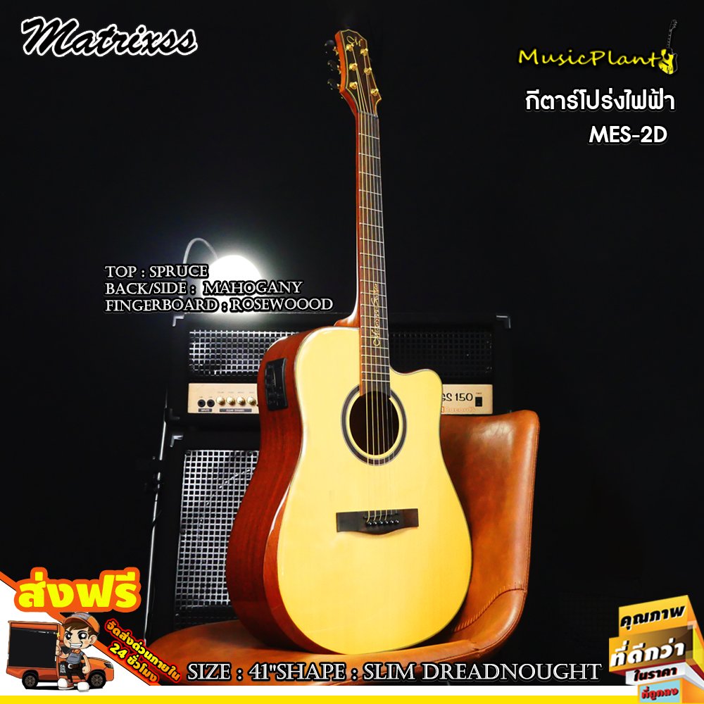 Matrixss: MES-2D, Acoustic Electric Guitar - musicplant