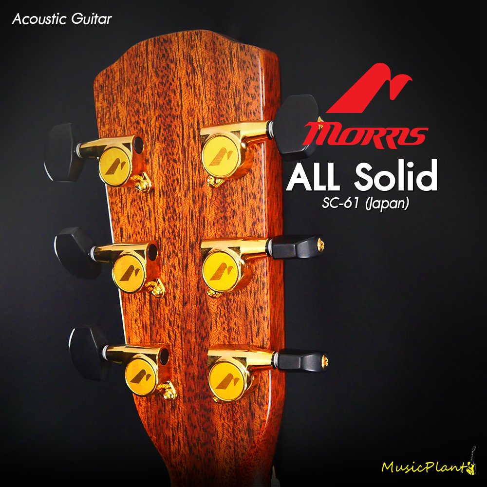 Morris: SC-61 (Japan), Acoustic Guitar - musicplant