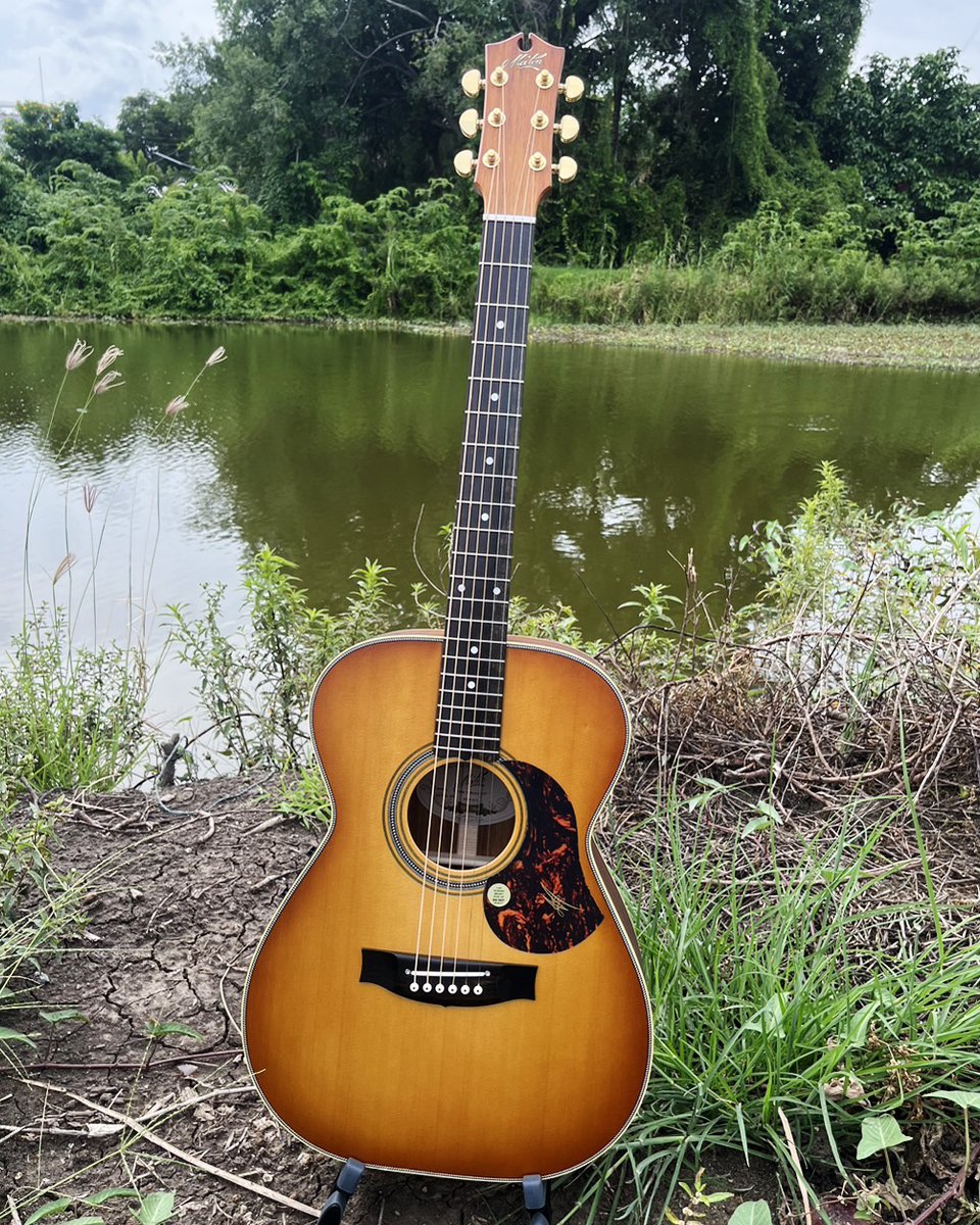 Maton - EBG808 Nashville - musicplant