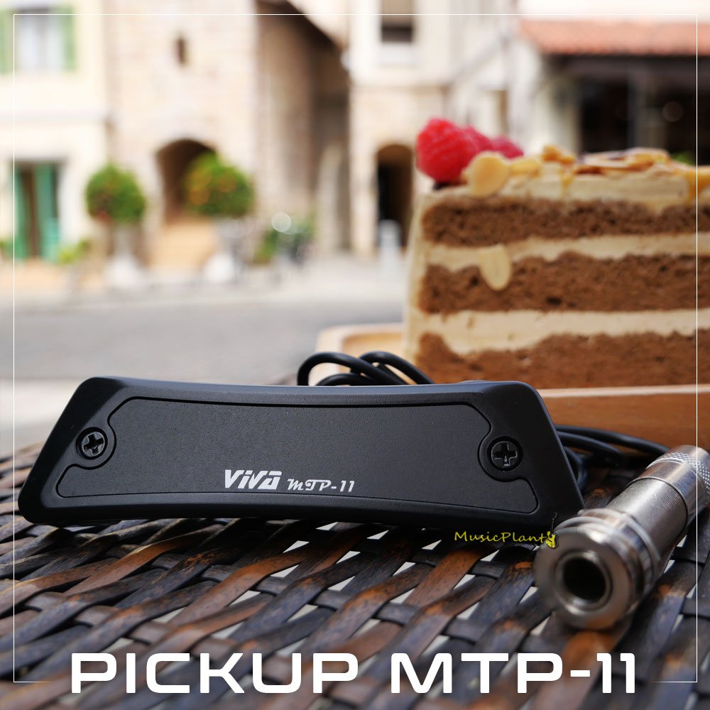 ปิ๊กอัพกีตาร์โปร่ง Viva รุ่น MTP-11 - musicplant