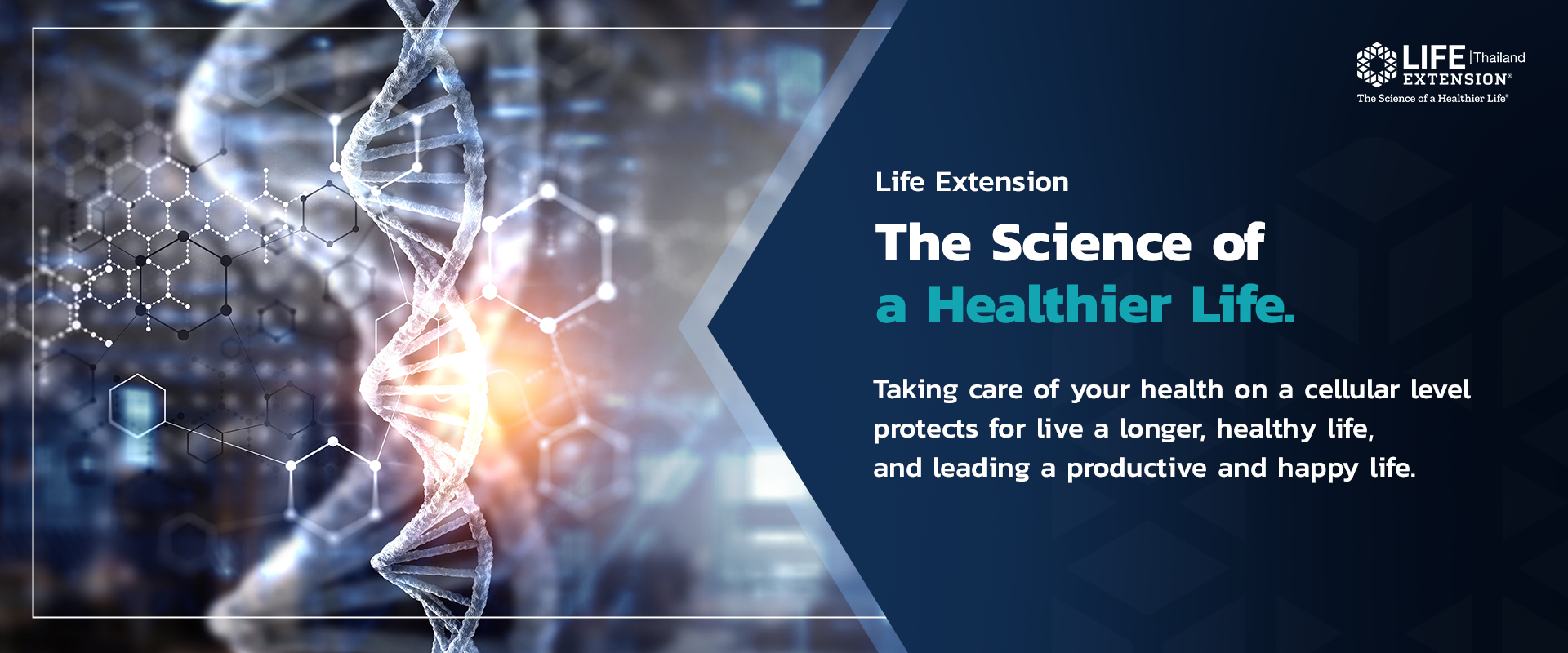 อาหารเสริมและวิตามินคุณภาพสูง Life Extension นำเข้าจากอเมริกา ผู้นำด้าน ...