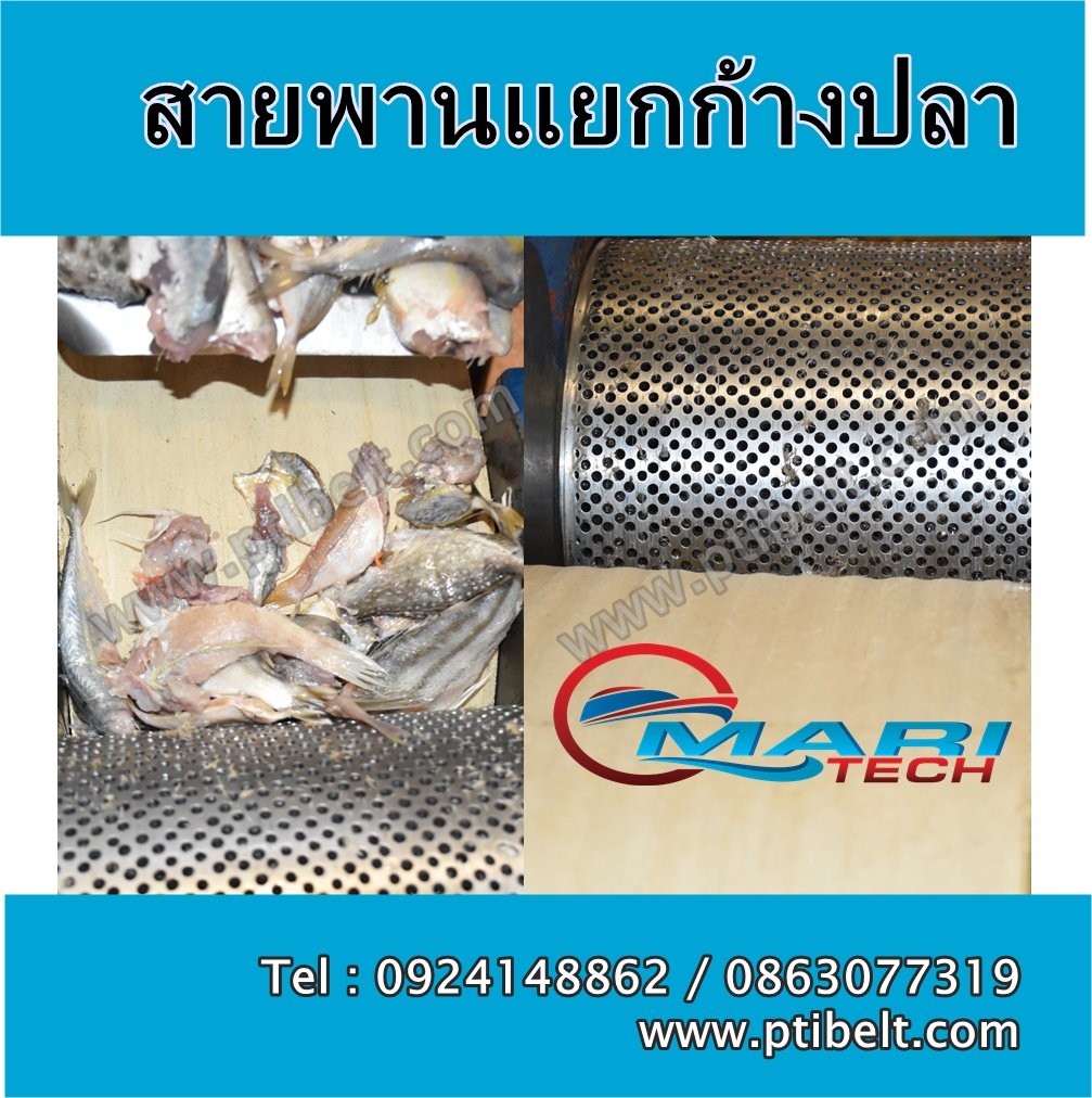 Fish Deboner Belt Tel: 0924148862 , 0863077319 ID LINE : ptibc - ptistock
