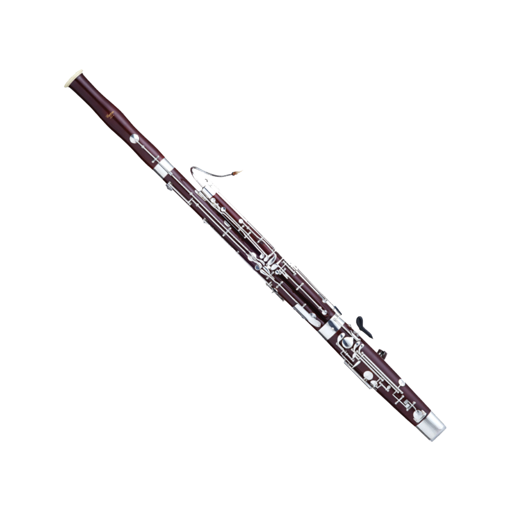 บาสซูน (bassoon) - education-thai