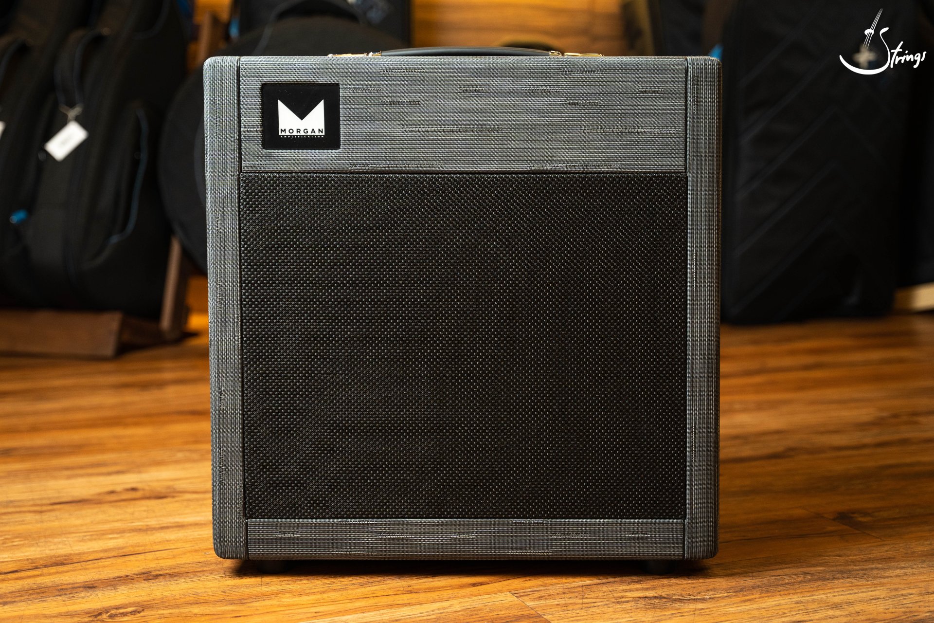 Morgan Amps MVP23 Combo 1x12" 23-watt Handwired Tube Combo Amp ...