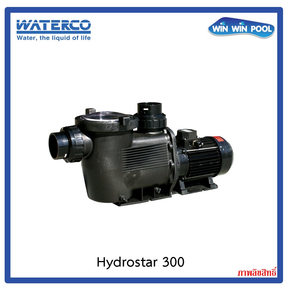 HYDROSTAR PUMP 3.0HP/220V - winwinpoolshop