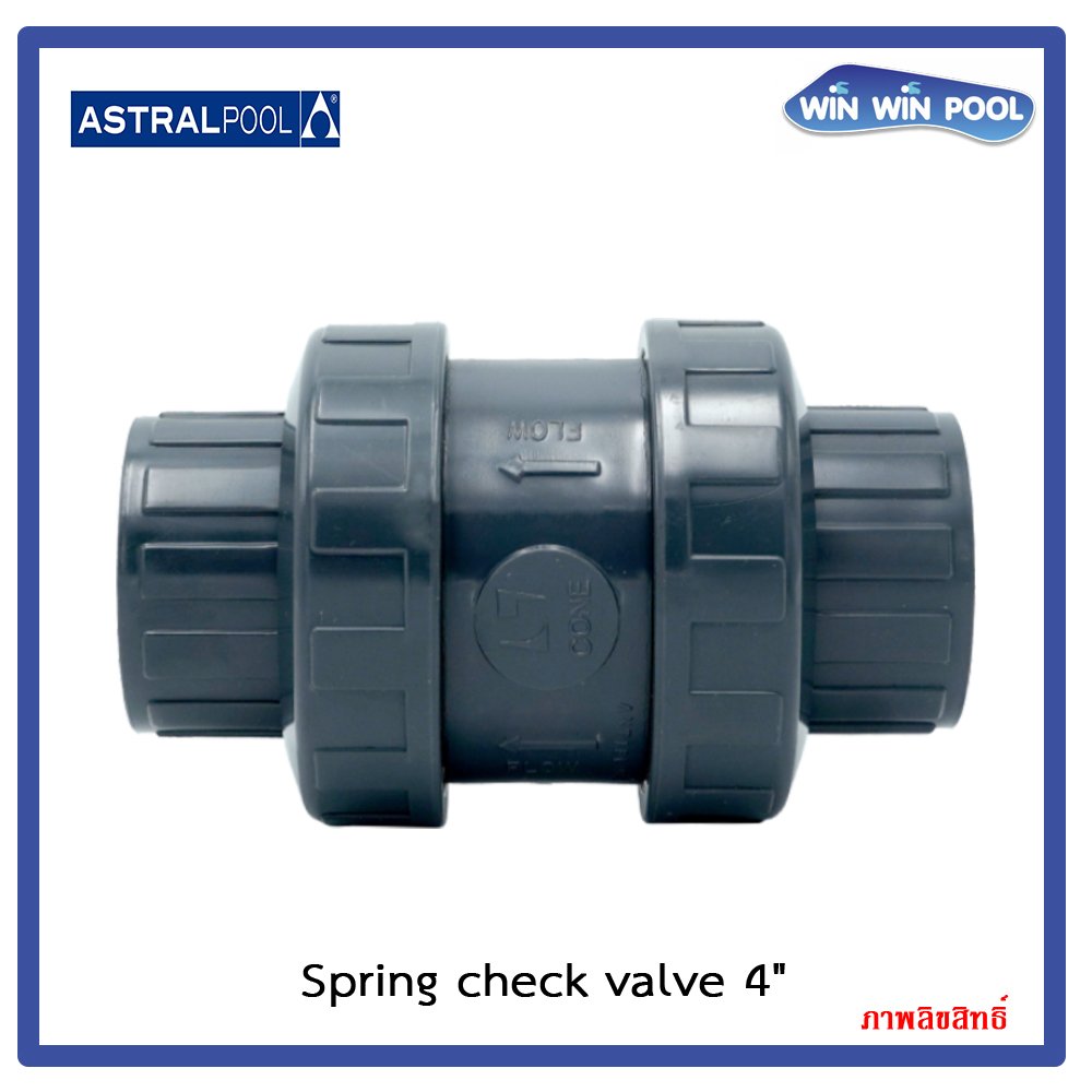 สปริงเช็ควาล์ว/Astral pool/Cepex/ Spring check valve / 4" - winwinpoolshop