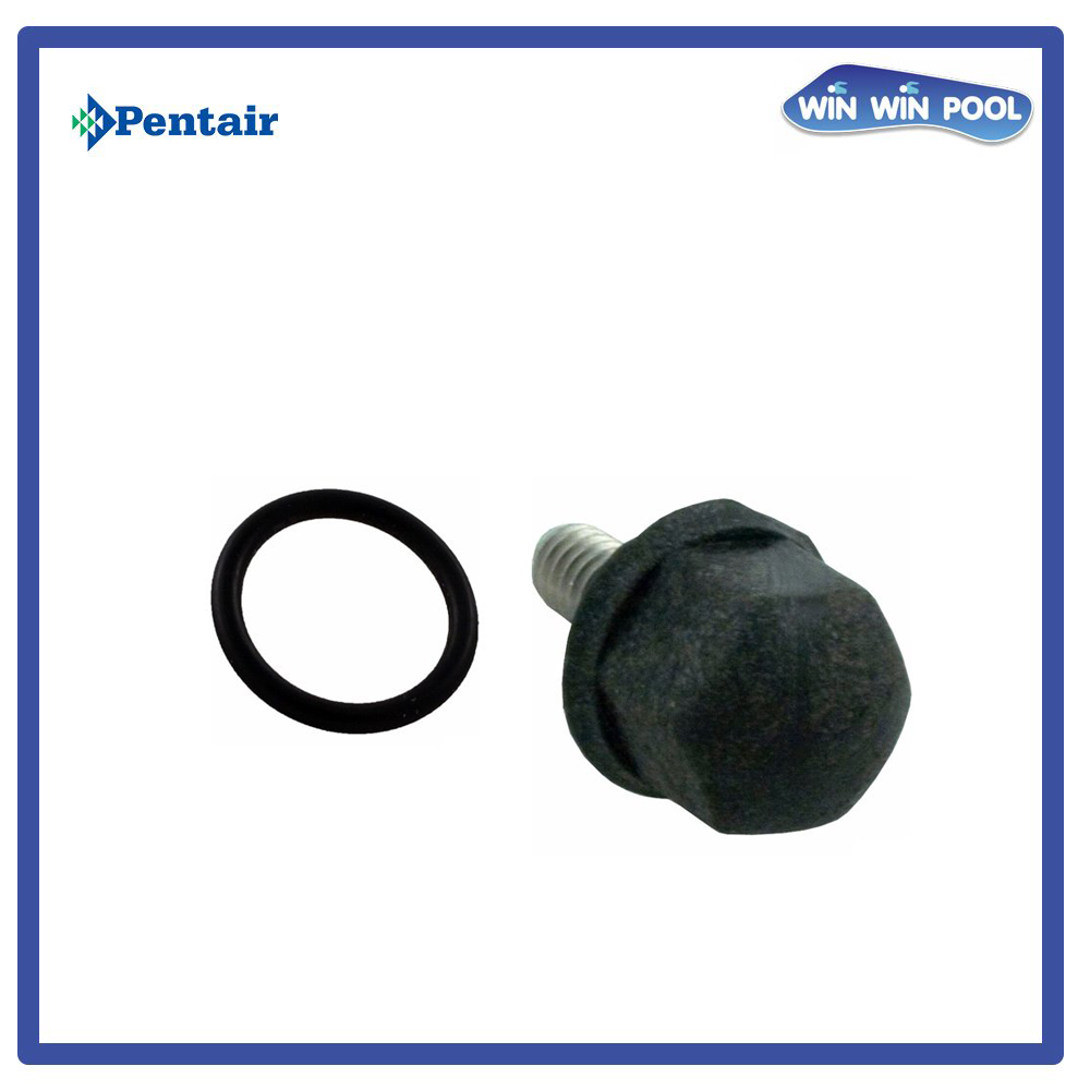 Impeller Lock Screw for Ultraflow Booster Pump - winwinpoolshop