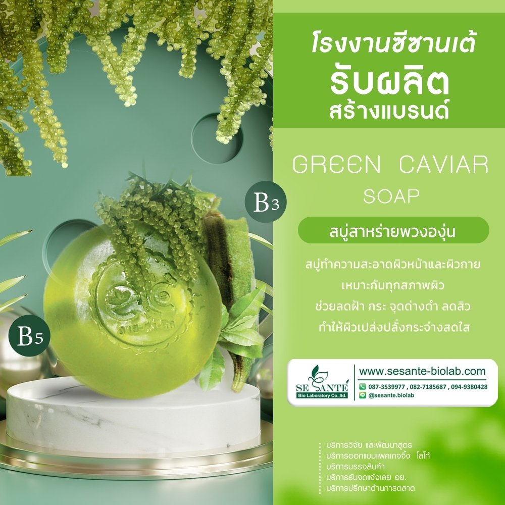 Green Caviar Soap (สบู่สาหร่ายพวงองุ่น) / 90 g. - sesante-biolab