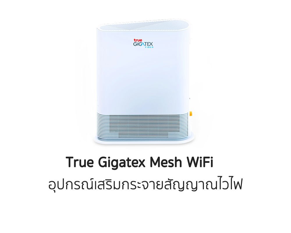 True Gigatex Mesh WiFi