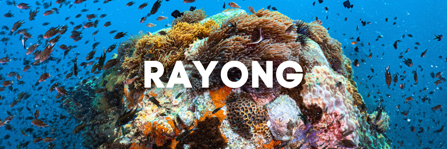 Scuba Diving Rayong Thailand | Thai Ocean Academy - thaioceanacademy