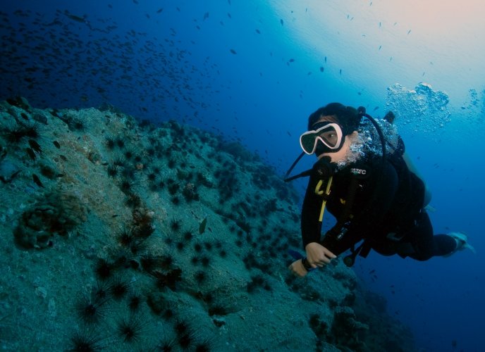 Dive Equipment & Bangkok Diving School | Thai Ocean Academy