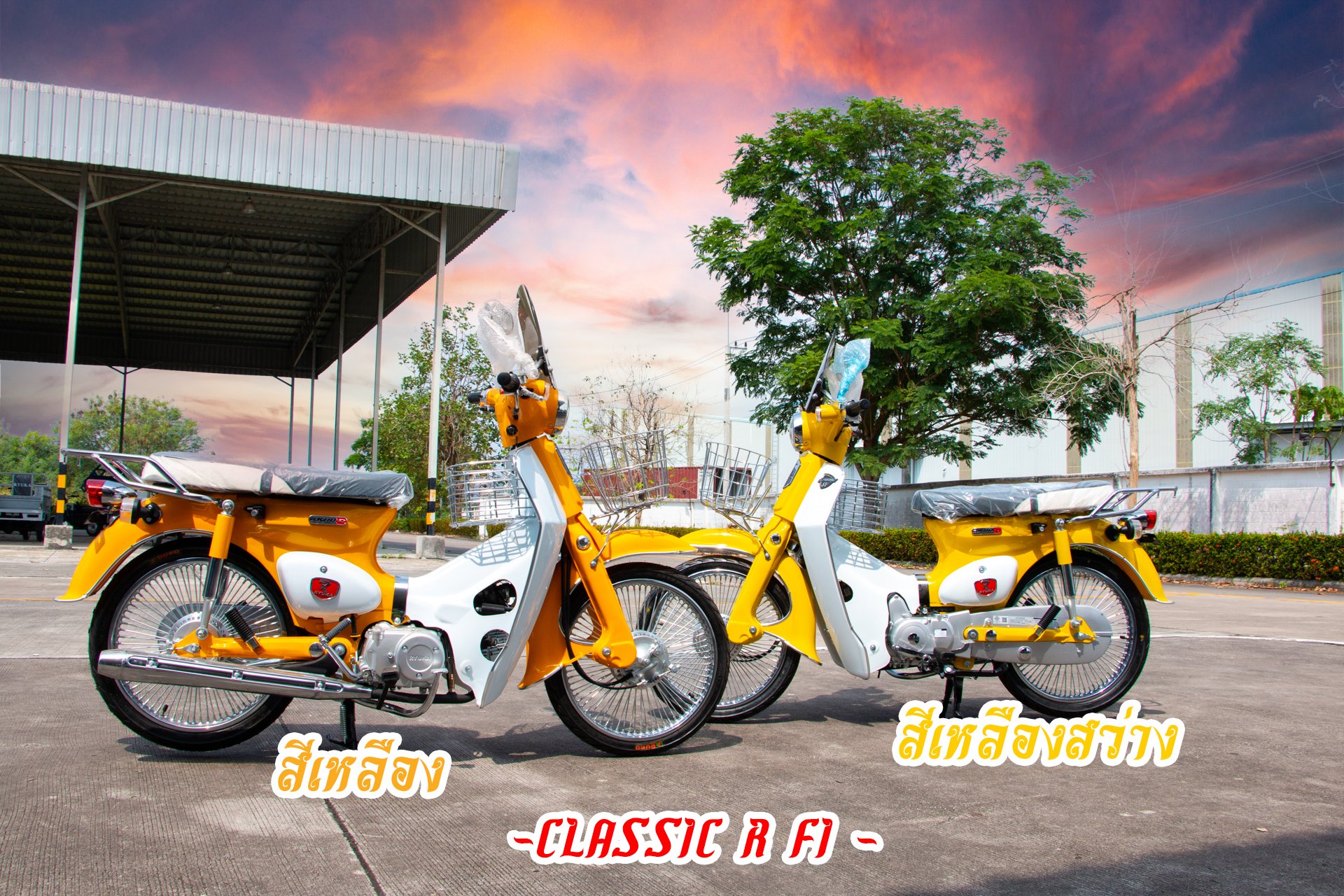 CLASSIC R Fi - zongshenthailand