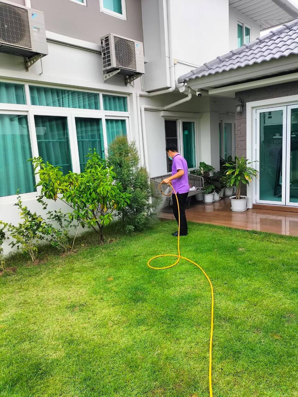 SP Pest - บริษัทกำจัดปลวกและสัตว์พาหนะ