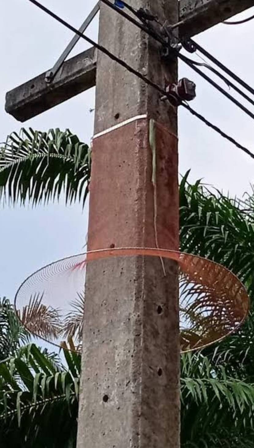 งานตาข่ายกันงู - thanaphatelectric