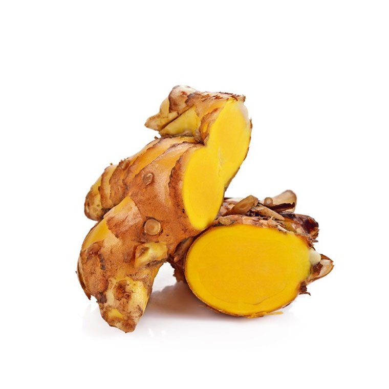 ไพล (Phlai) - poompuksa